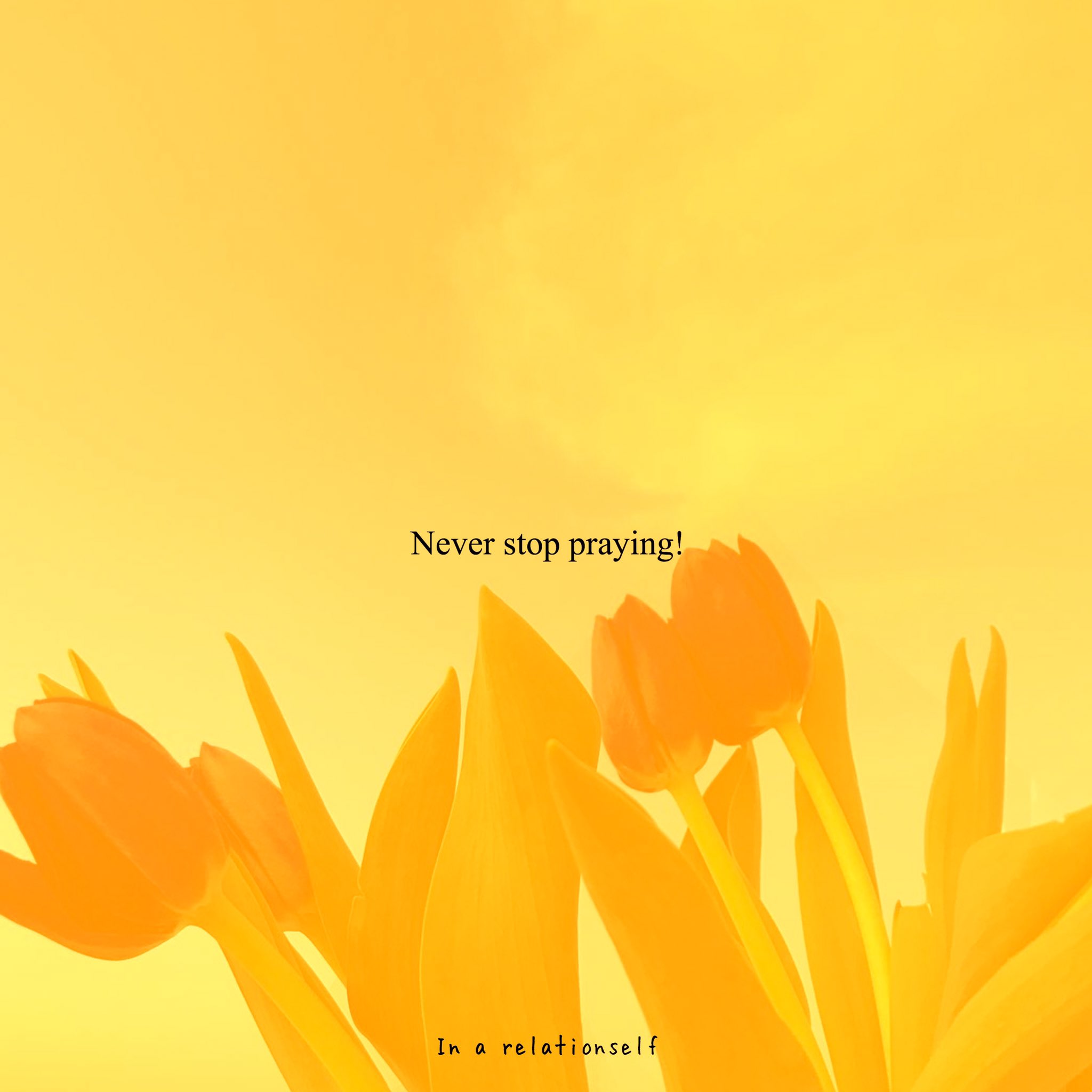 Relationself on Twitter: