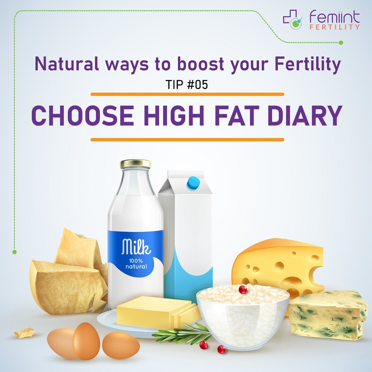 High Fat Milk Products
