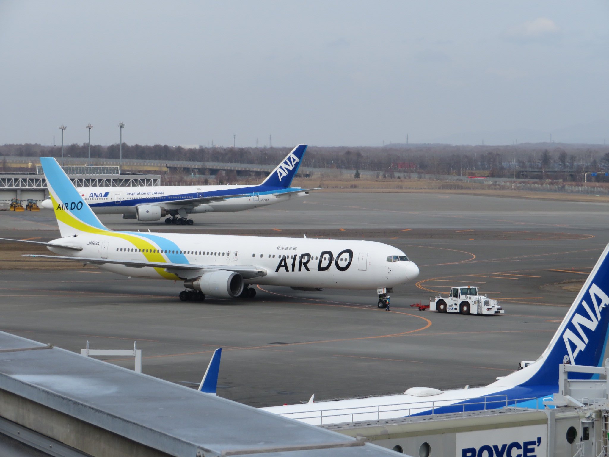 takuty on Twitter: "新千歳空港④〜AIRDO〜…