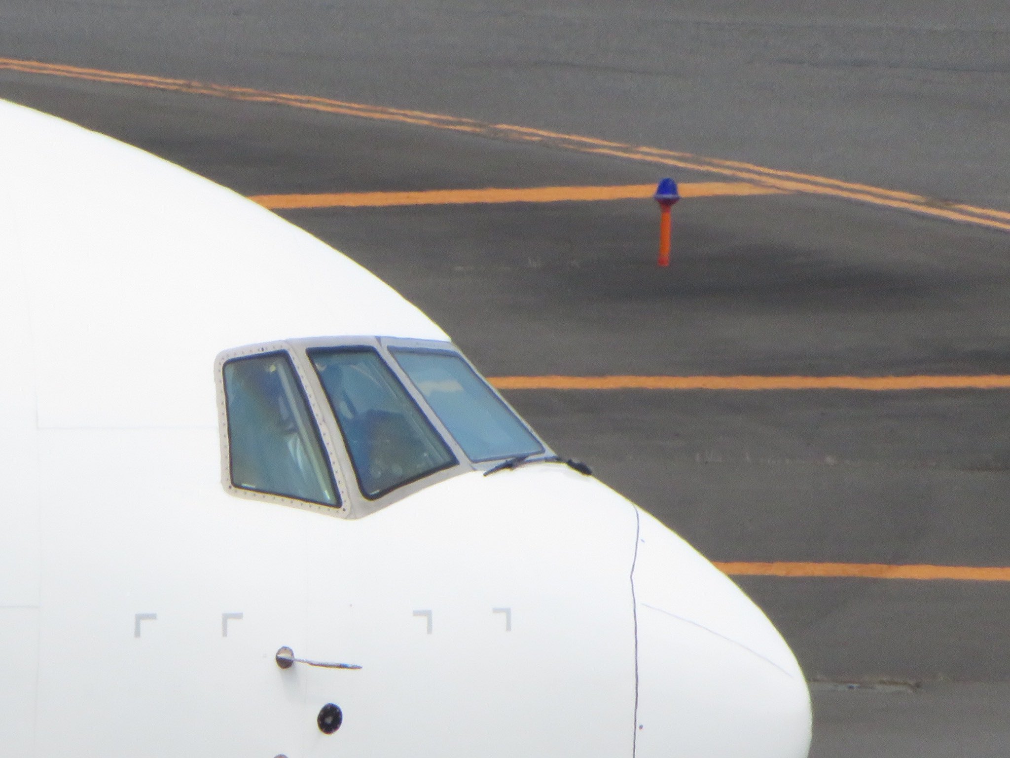 takuty on Twitter: "新千歳空港④〜AIRDO〜…