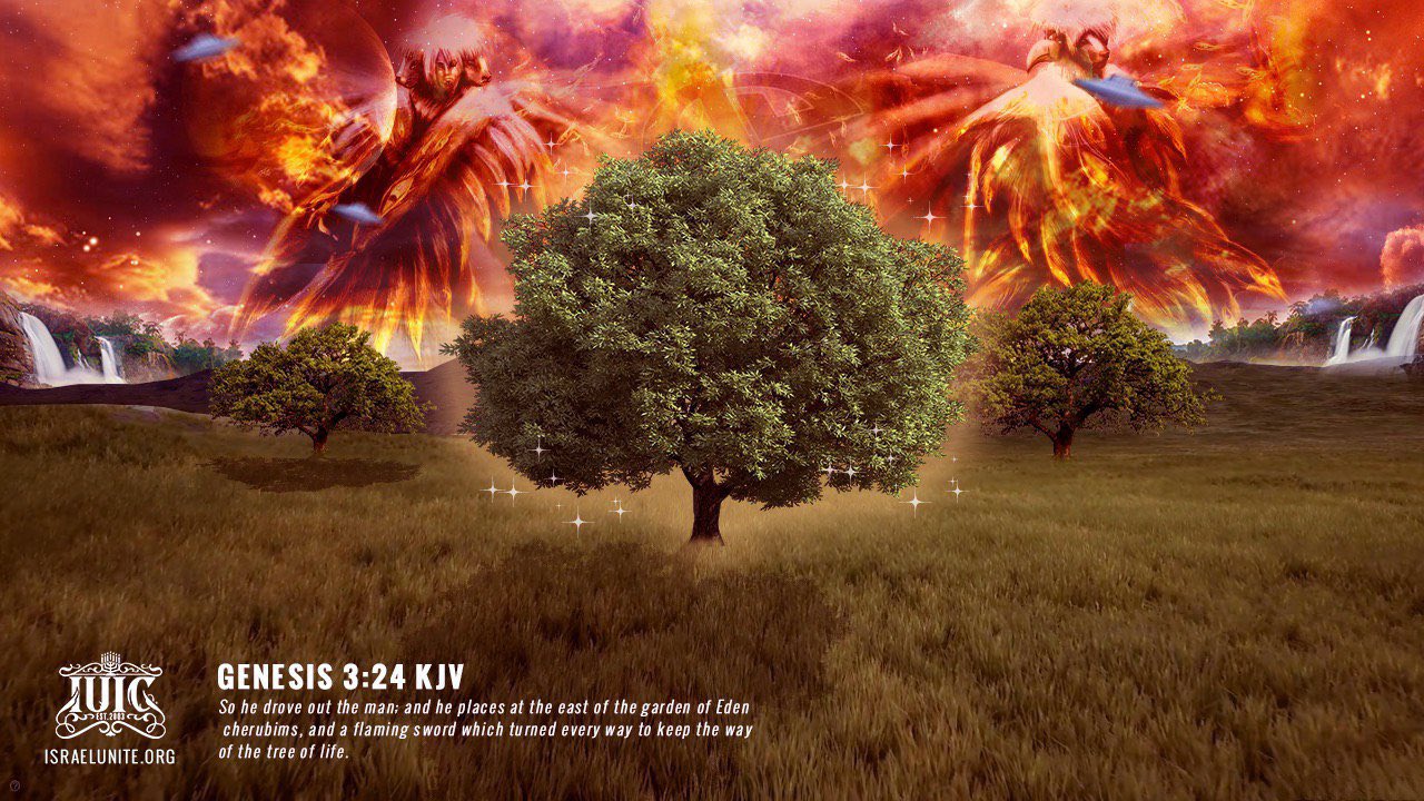 Cherubim In The Garden Of Eden