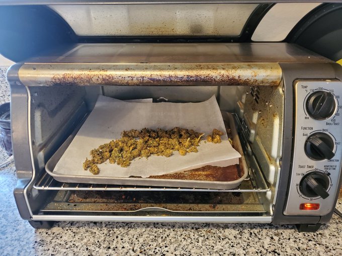 TW Pornstars - Dee Williams, Quarantine Queen 😷. Pictures and videos ...