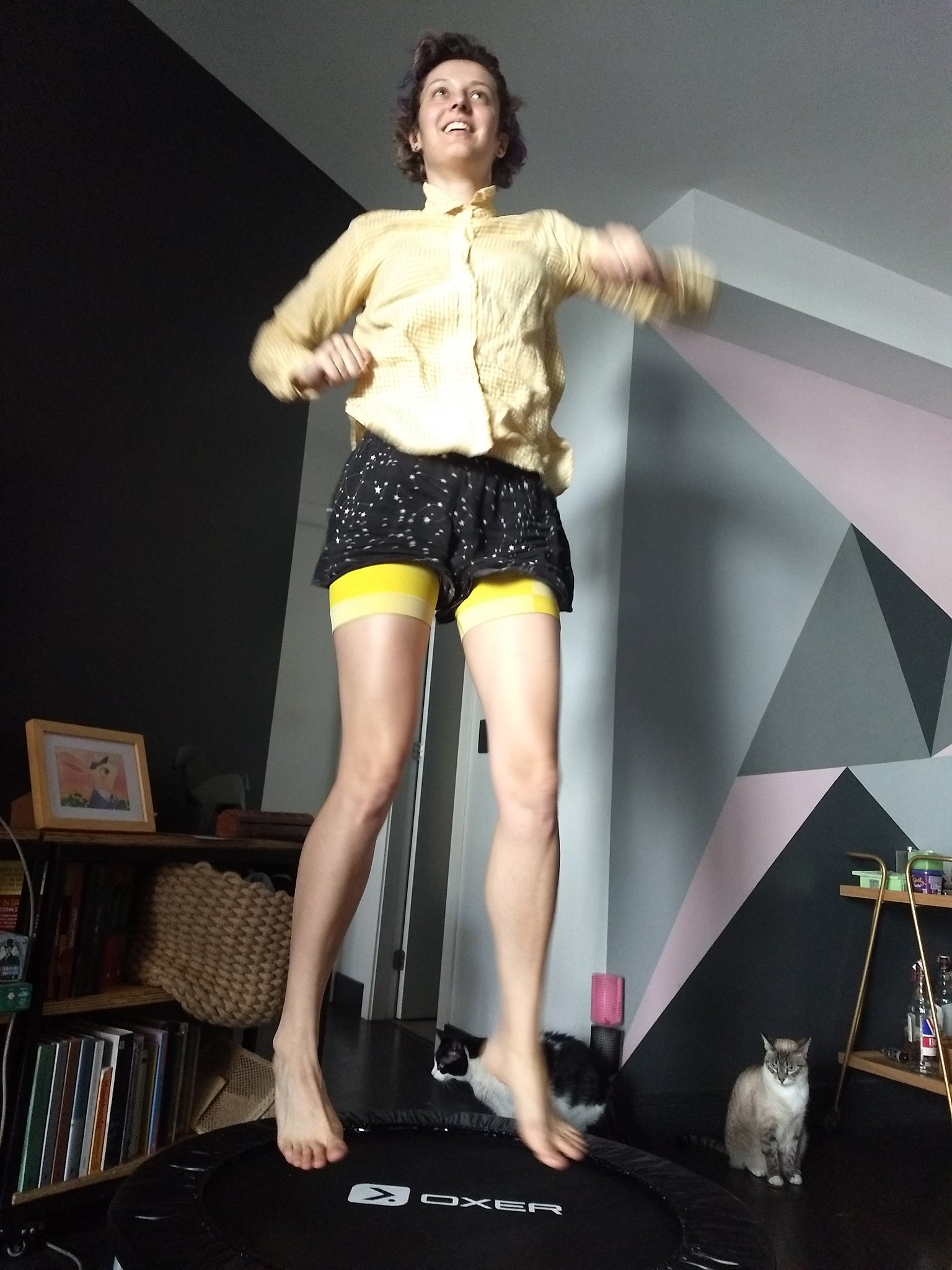 ⚫Full Metal Bitch⚫ on Twitter: "GUESS WHAT THE CAT DRAGGED IN https://t.co/GqoCx52CHa" / Twitter