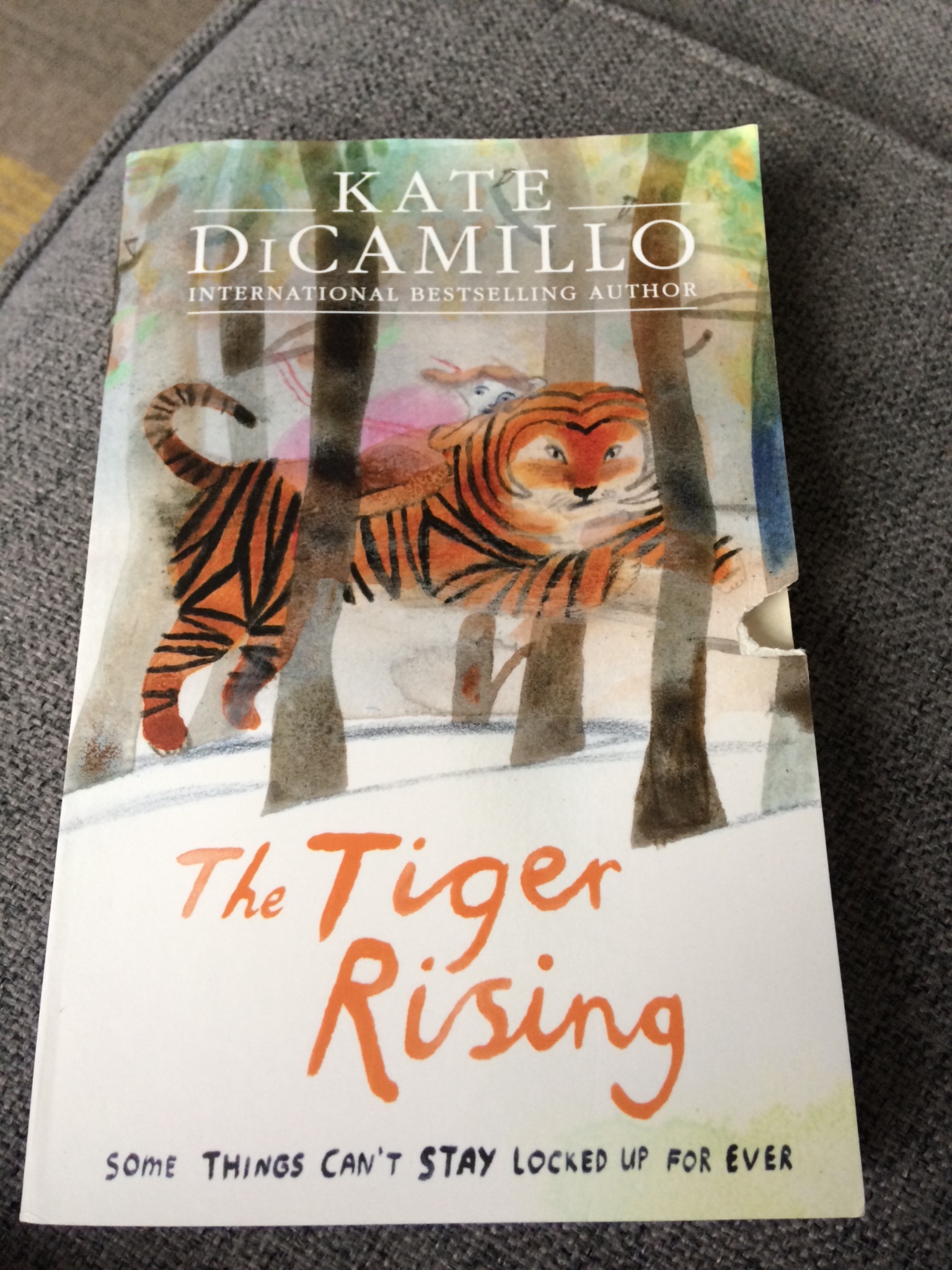 The Tiger Rising Book Cover