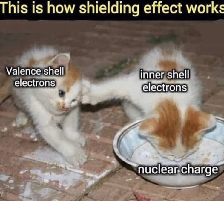 Chemistry Cat Meme Na