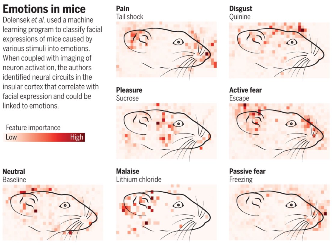 Charles Darwin Facial Expressions