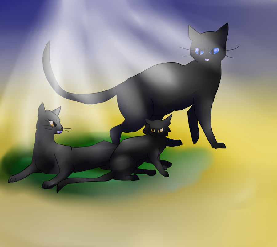 Warrior Cats Crowfeather And Nightcloud