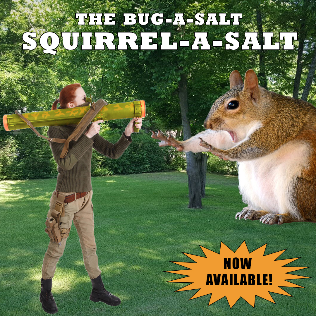 A Salt Gun Meme | informacionpublica.svet.gob.gt