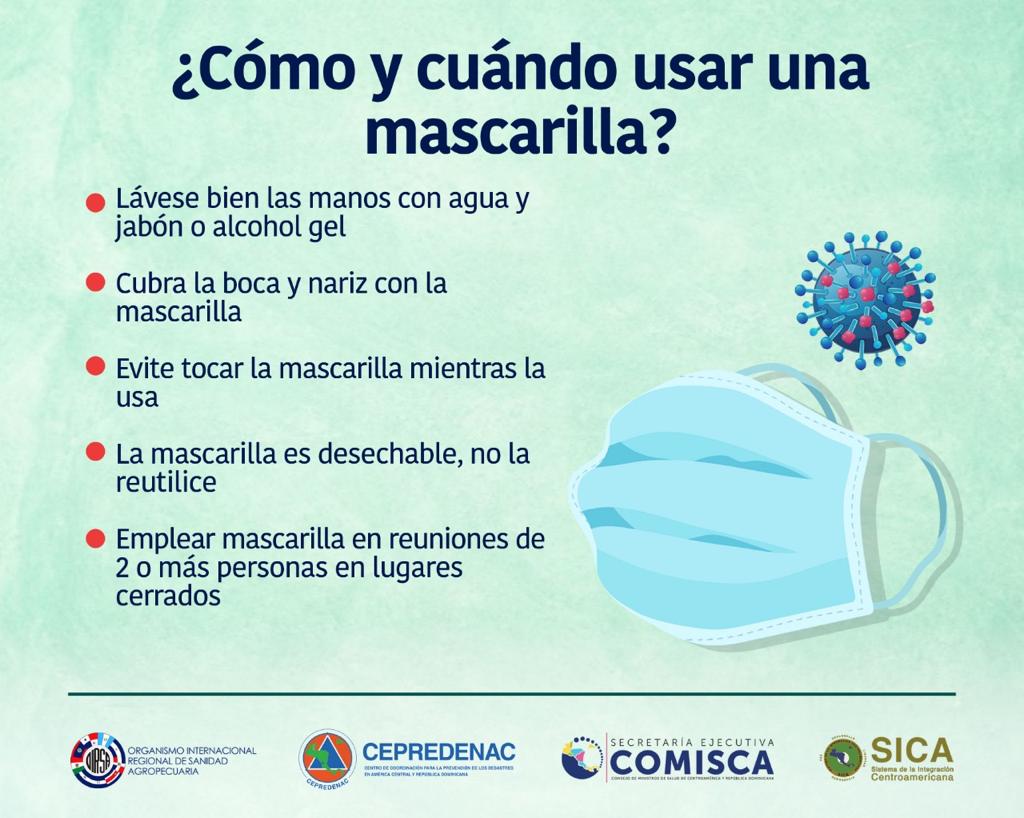 Instalar En Pc Dinosaurio Ru Uso Correcto Mascarilla Desechable Charla