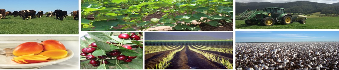 Impact Fertilisers | Rely on us