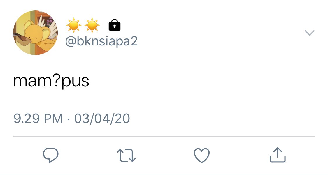 ☀️🦁 on Twitter: "mam?pus…