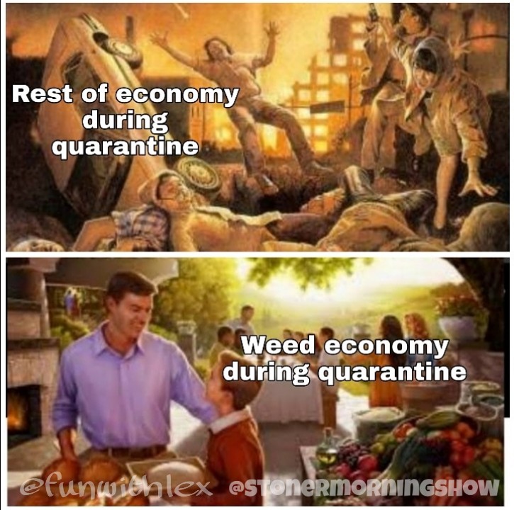 Exjw Memes Ex Jehovah's Witnesses EXJW Memes Humour Info Only