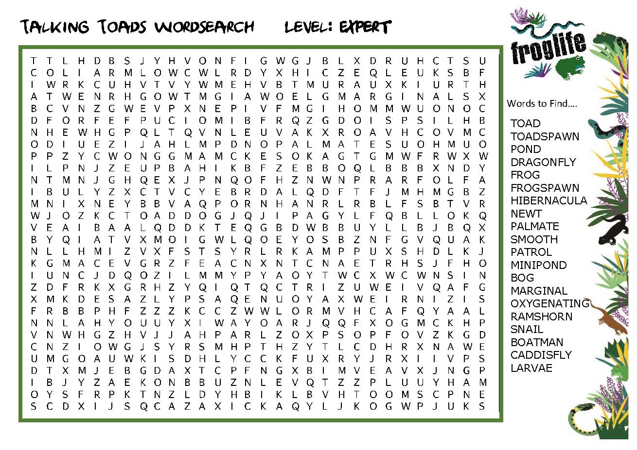Super Hard Word Search