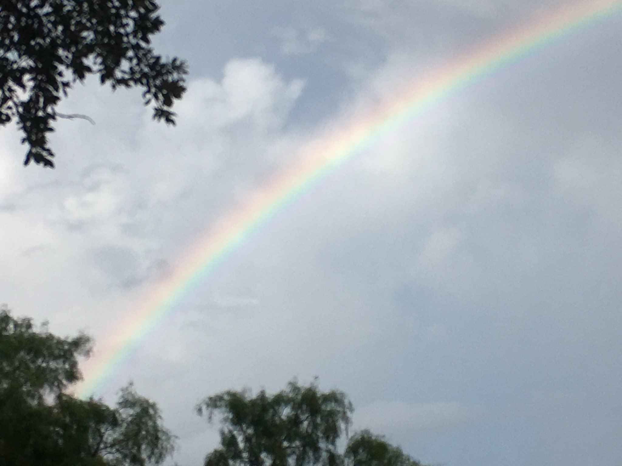 Dahn Windhorn on Twitter: "Every year, April 3 is observed as National ...