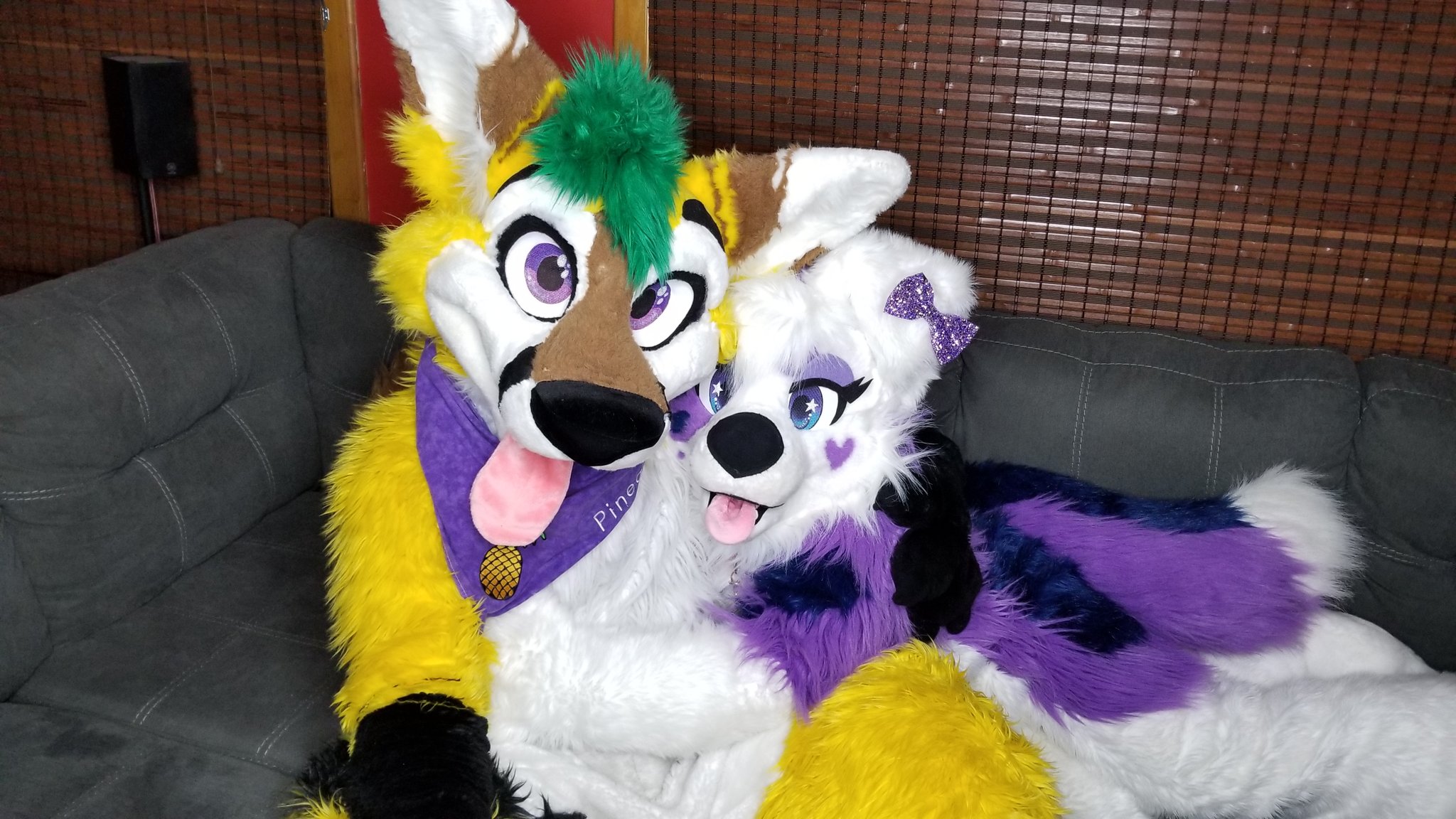 Pineapple Fox @ FWA on Twitter: "Galaxie cuddles 🍍 #furryfandom #fursuit #FursuitsFriday #furry ...