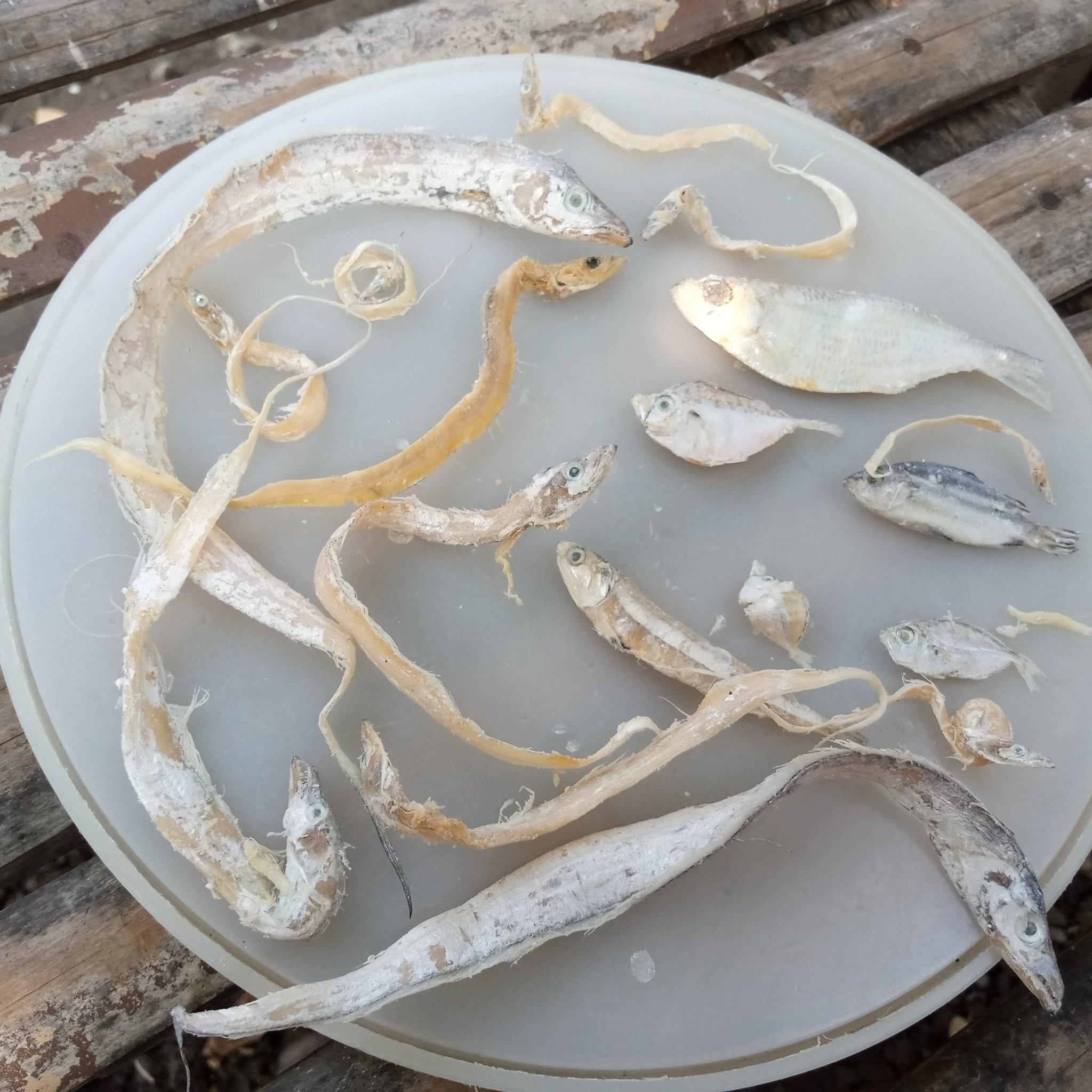 mas pri on Twitter: "#NewProfilePic…