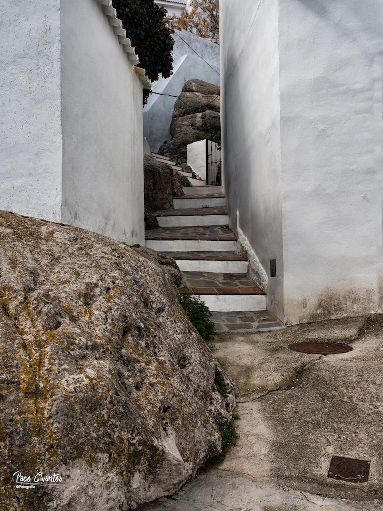 José Ortiz Molis on Twitter: "#LaPaisanaComares…