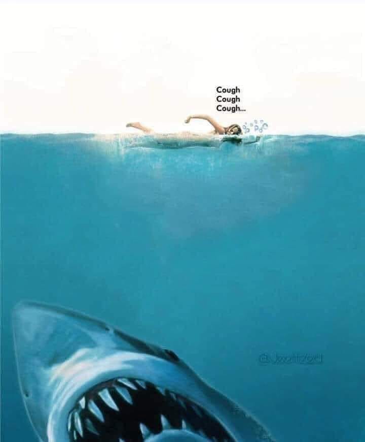 Jaws Remake