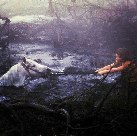 Atreyu Neverending Story Horse