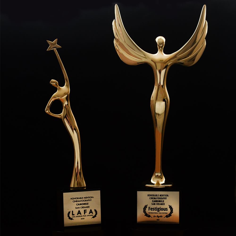 Honorable Mention Trophy