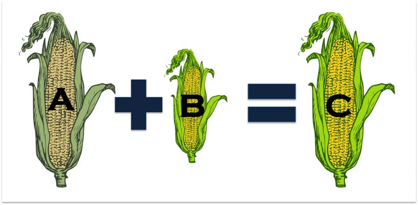 في هذا الثريد سأتكلم عن انواع البذور. لكي نستطيع التفريق بين انواع ...