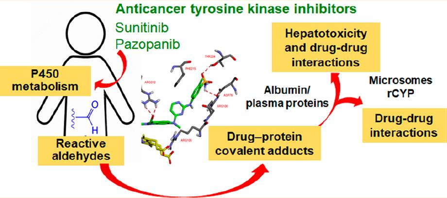Tyrosine Kinase Inhibitors Mechanism Of Action