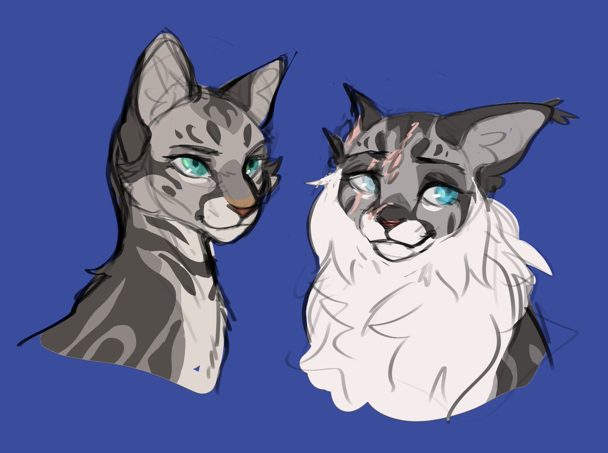 Silverstream And Feathertail