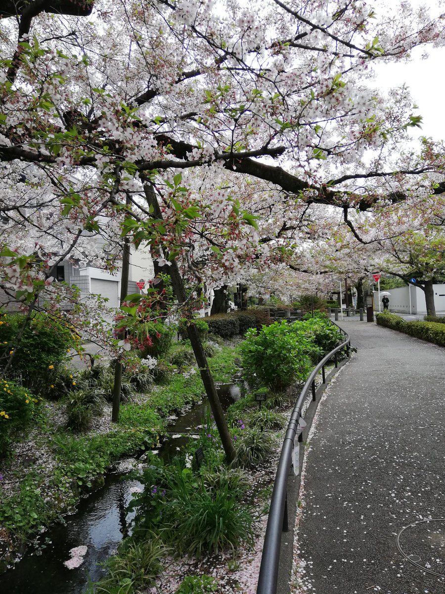 chobin(@Chobin_Chobin) - Twilog (ツイログ)