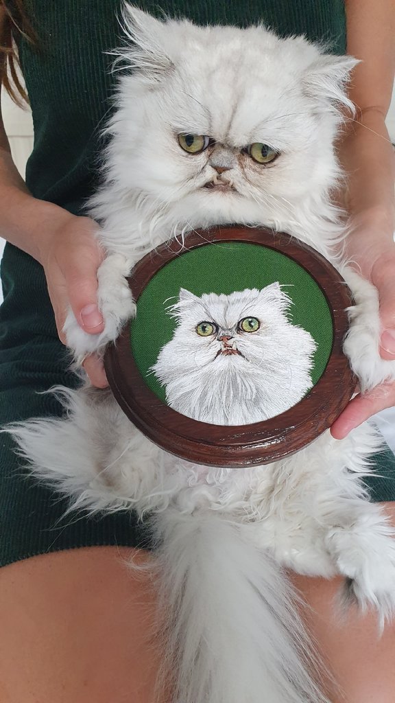 Wilfred Warrior @wilfred_warrior Timeline, The Visualized Twitter ...