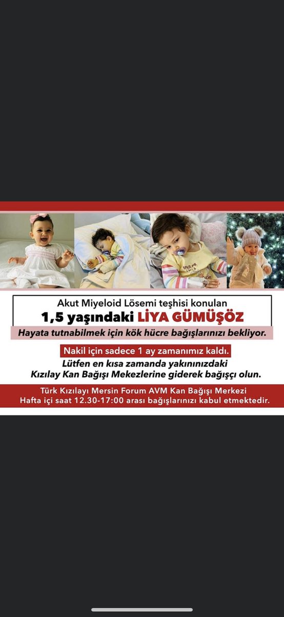 Aylin Caliskan (@aylincaliskan) | Twitter