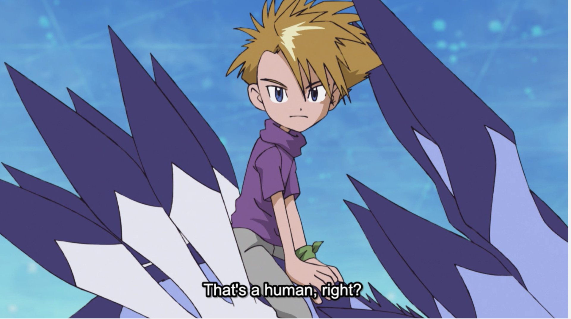 Matt Digimon Harmonica