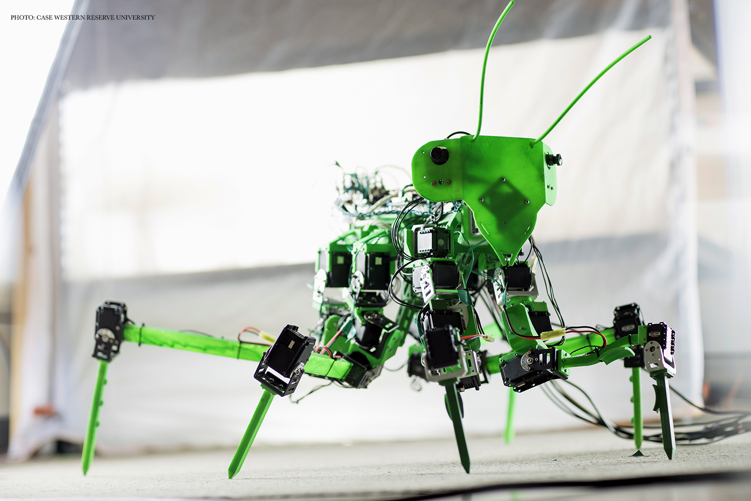 Science Magazine on Twitter: "Robots with insect brains? Here's a look ...