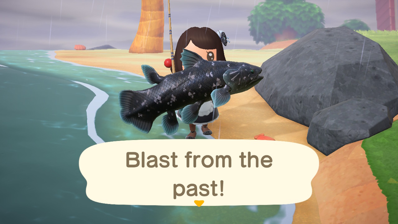 Animalcrossing Rare Fish
