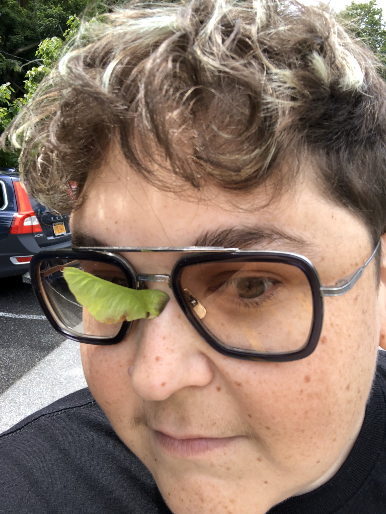 Andy Milonakis Now