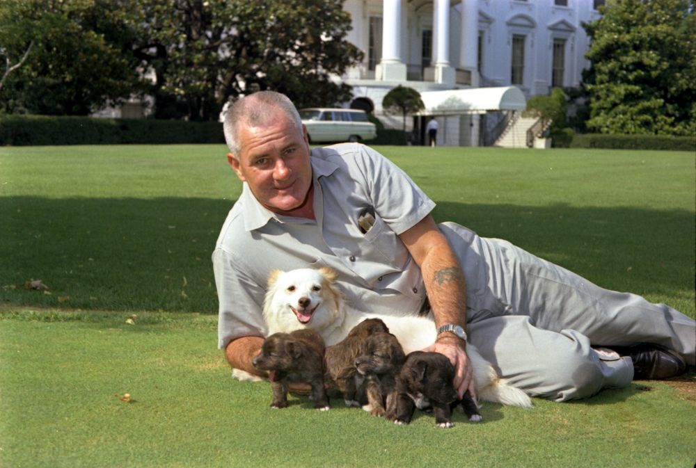 Pushinka and Charlie welcomed a litter of puppies in 1963, which ...