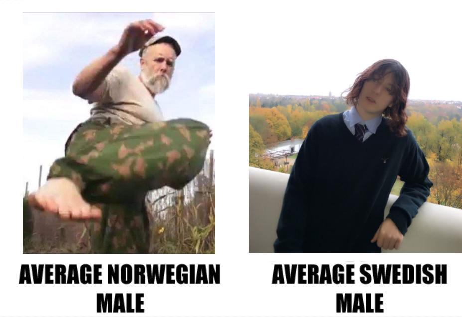 Swedish Guy Memes In Sweden I'm A Big Deal Funny Gift For Swedish Men