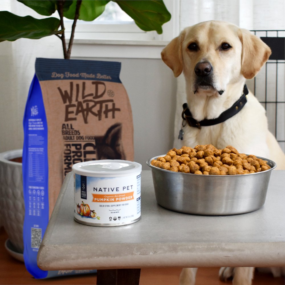 This startup is changing pet food radically and heres how ...