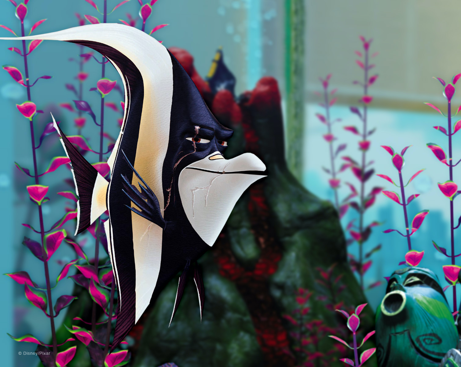 Gill From Finding Nemo