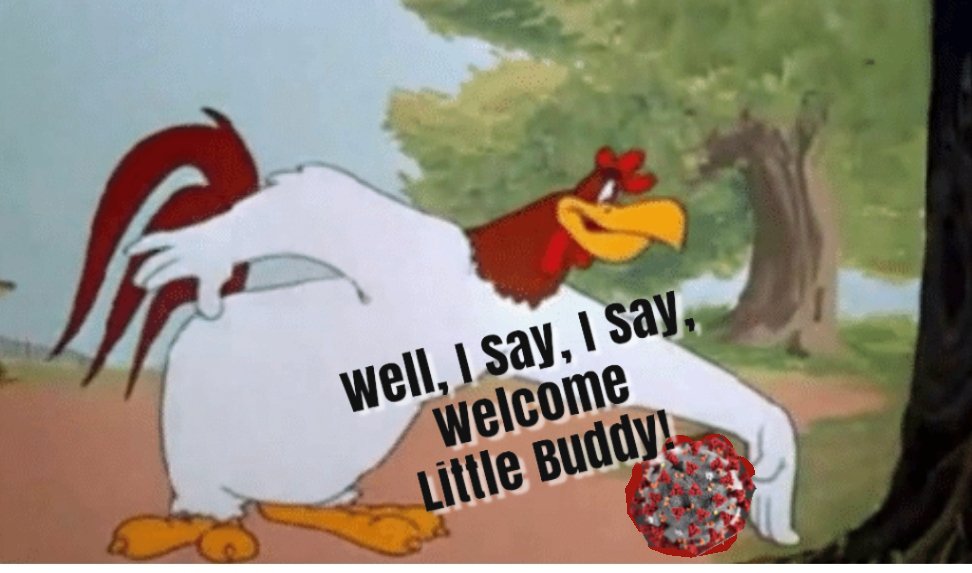 Foghorn Leghorn Meme