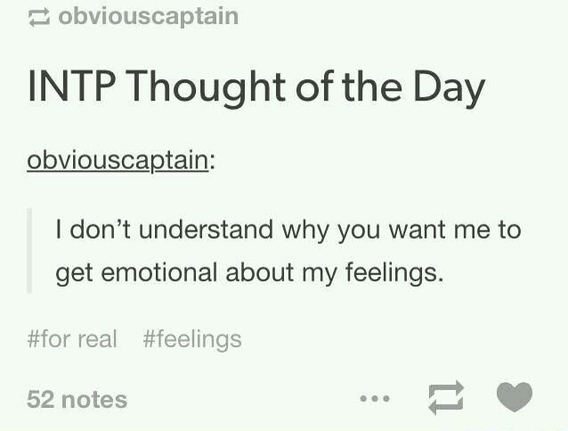 Intp Tumblr