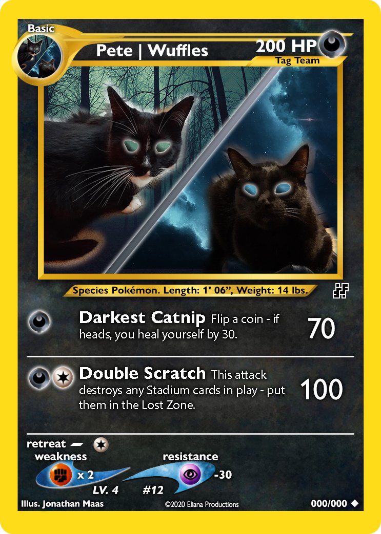 Pokemon Card Black Cat
