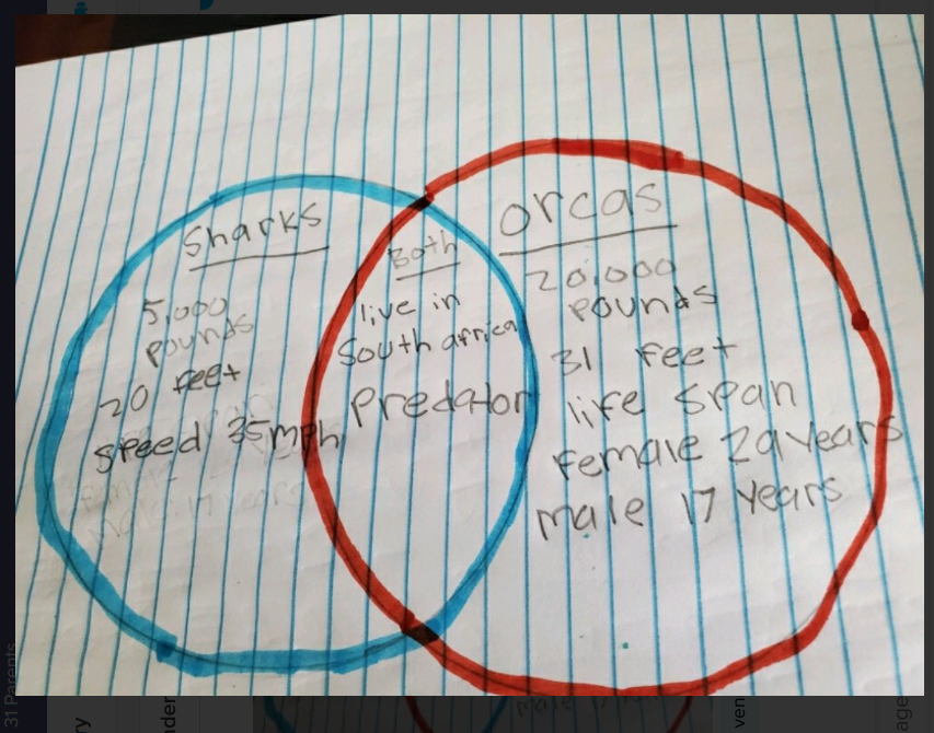 Herrera Elementary on Twitter: "Mrs. Paffel's students created Venn ...