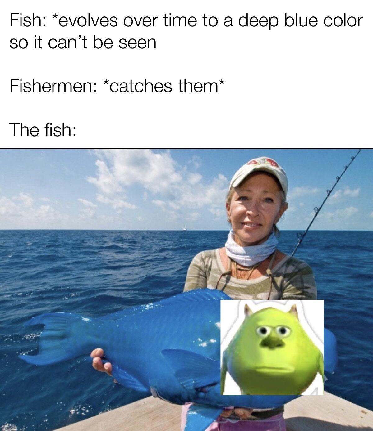 Blue Fish Memes Cat Waiting Fish Stock Illustrations – 144 Cat