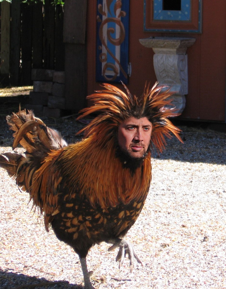 Nicolas Cage Animal
