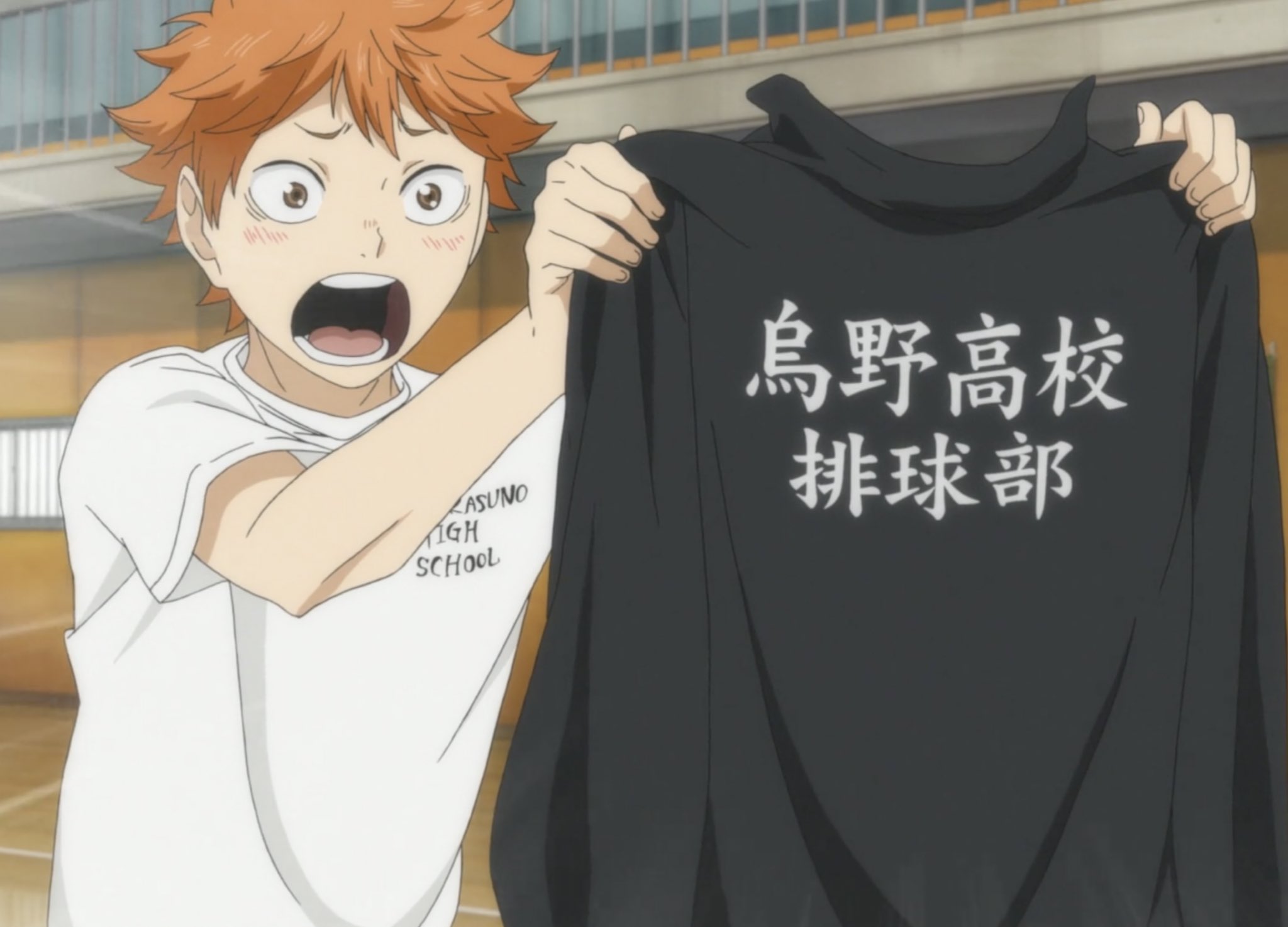 Haikyuu Karasuno Jacket