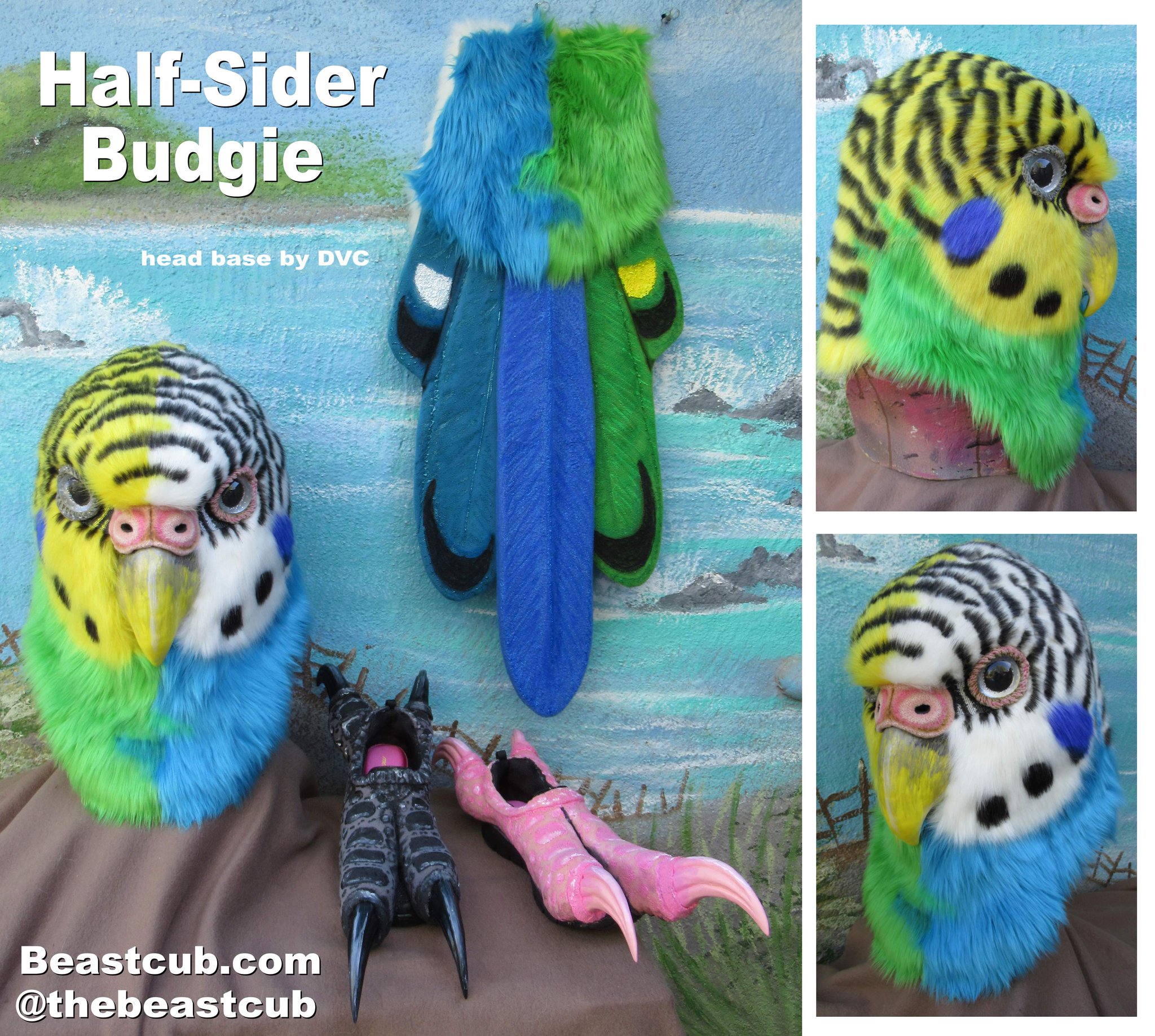 Half Sider Budgie