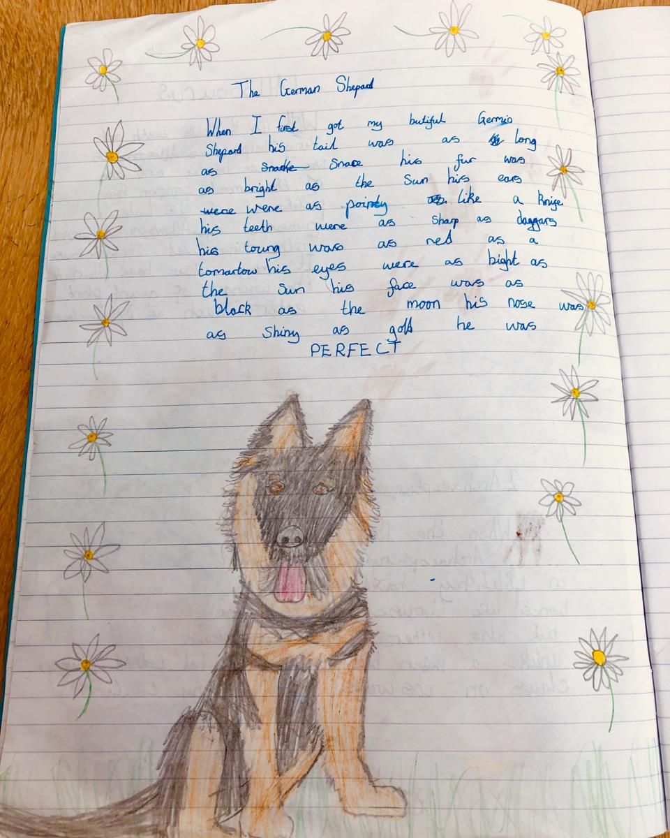 Simile Poems About Dogs