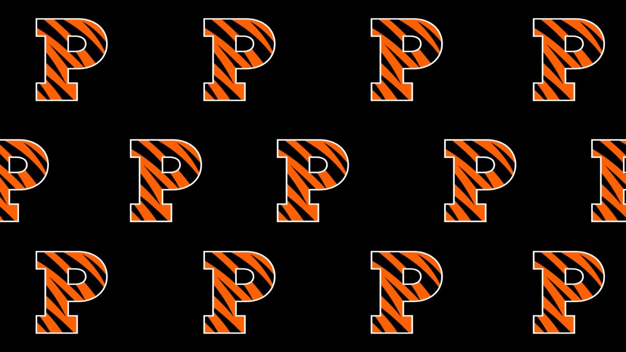Princeton P Logo