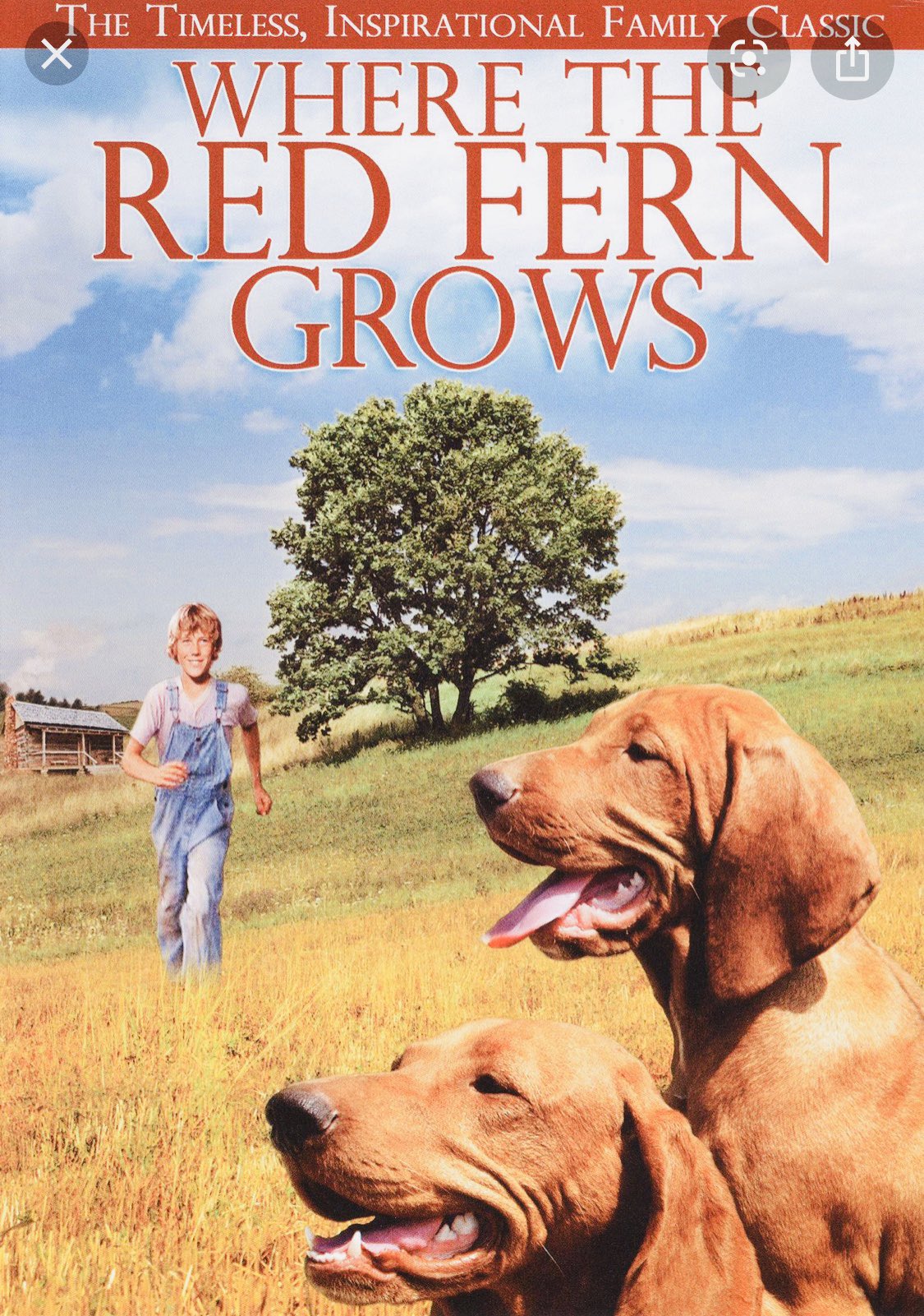 Where The Red Fern Grows Pictures Of Little Ann