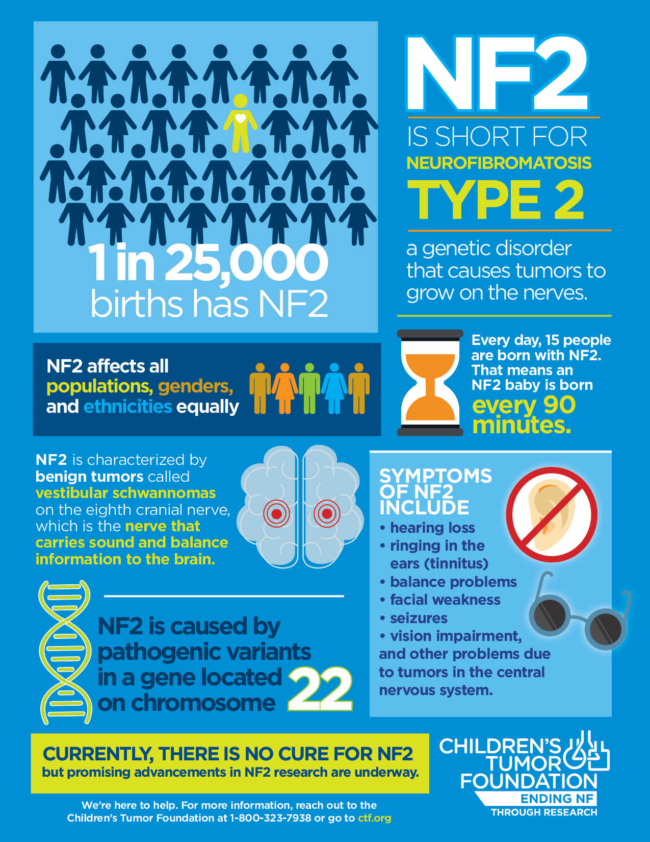 Neurofibromatosis Type 2 Gene